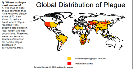 Avian Flu Diary: Peru: Alert For Bubonic Plague In Ascope Region