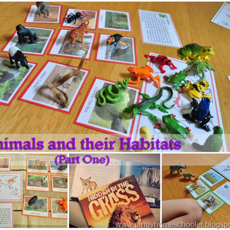 Animals and their Habitats (Part One) | The Pinay Homeschooler