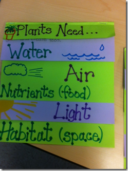 2nd Grade Ponderings: Fantabulous Foldables