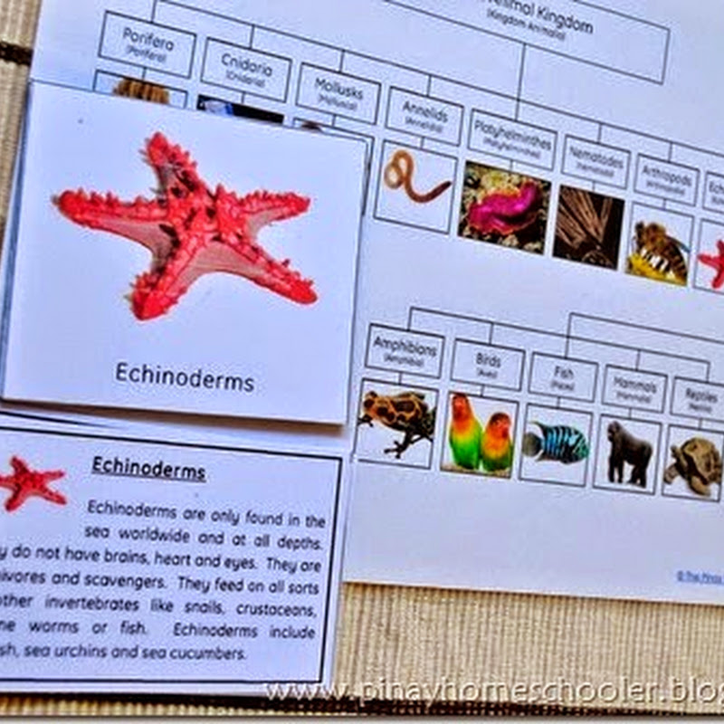 Animal Exploration: A Study Guide | The Pinay Homeschooler