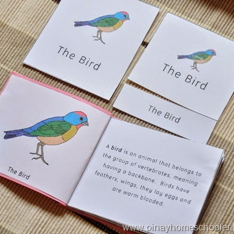 Bird Unit Activities | The Pinay Homeschooler