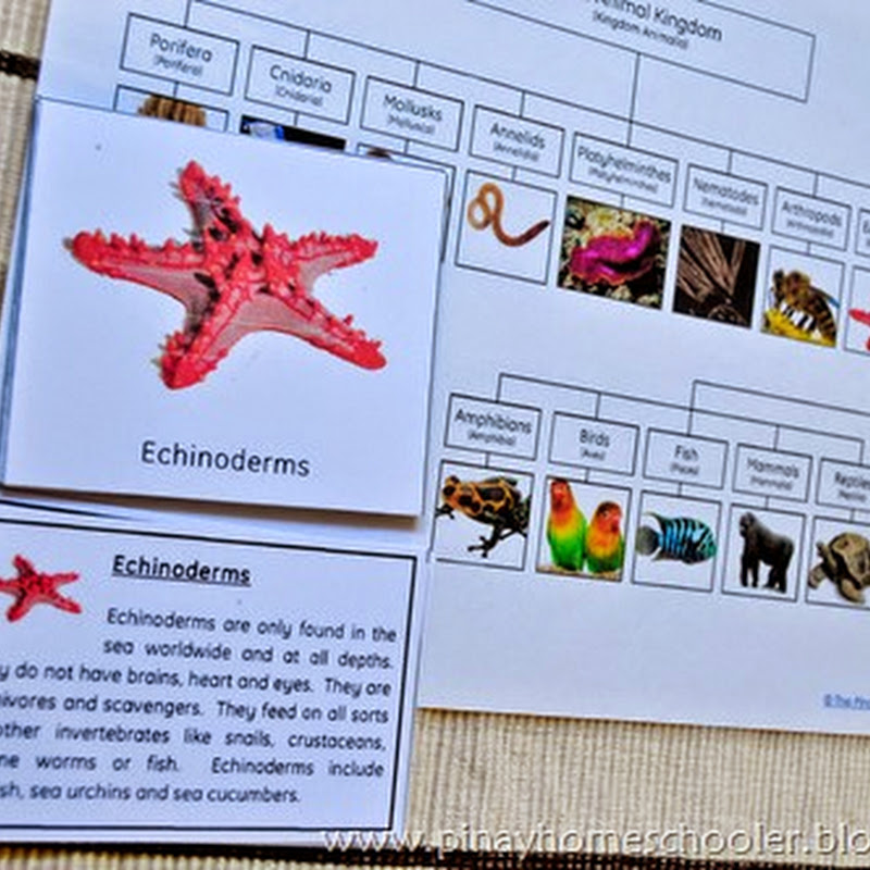 Exploring the Animal Kingdom for Kids | The Pinay Homeschooler