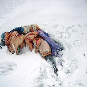 Polar News ExplorersWeb - Frozen bodies, crevasse falls and crushed fingers: Welcome to savage ...