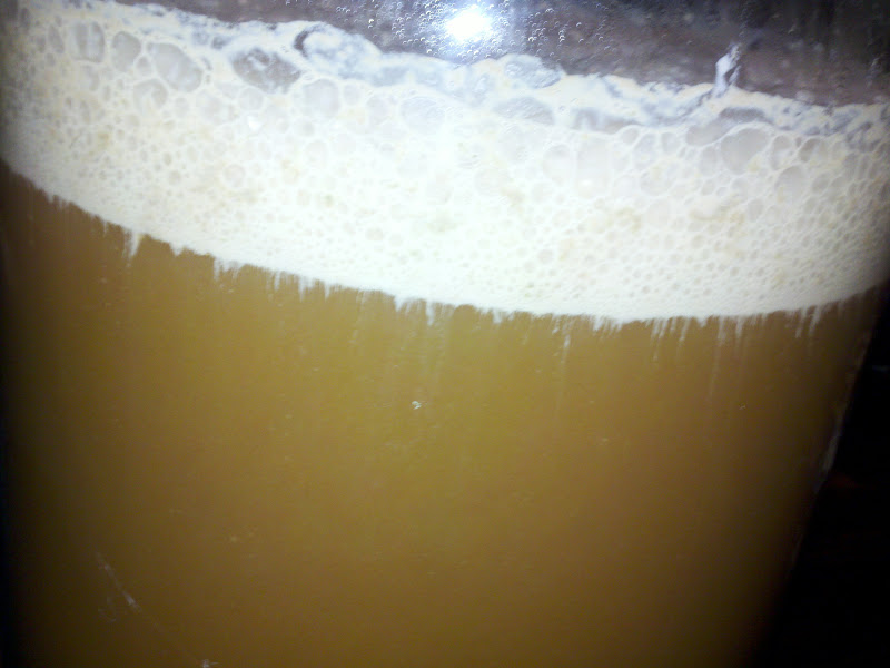 Is this an infection or a nice healty krausen.. or both? | Homebrew Talk - Beer, Wine, Mead ...