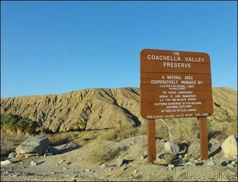Pushawalla Palms Loop | Jesse's Hikes
