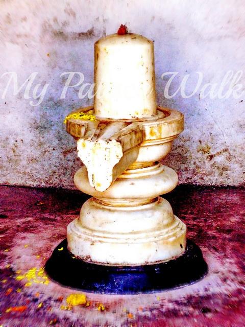 My Palace Walk.....from the Sahara to the Subcontinent: Maharajah Curly ...