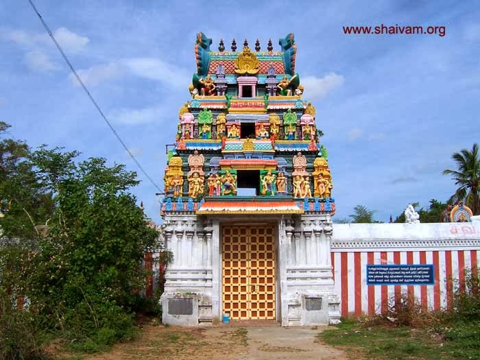 thiruvarur city: Kottur siva temple