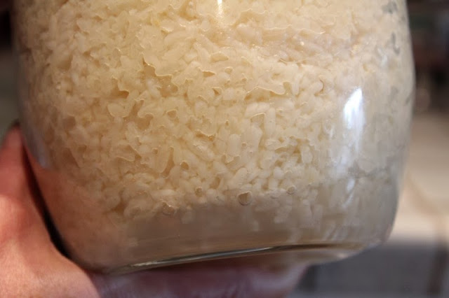 Homemade Fermented Rice Wine - Menu In Progress