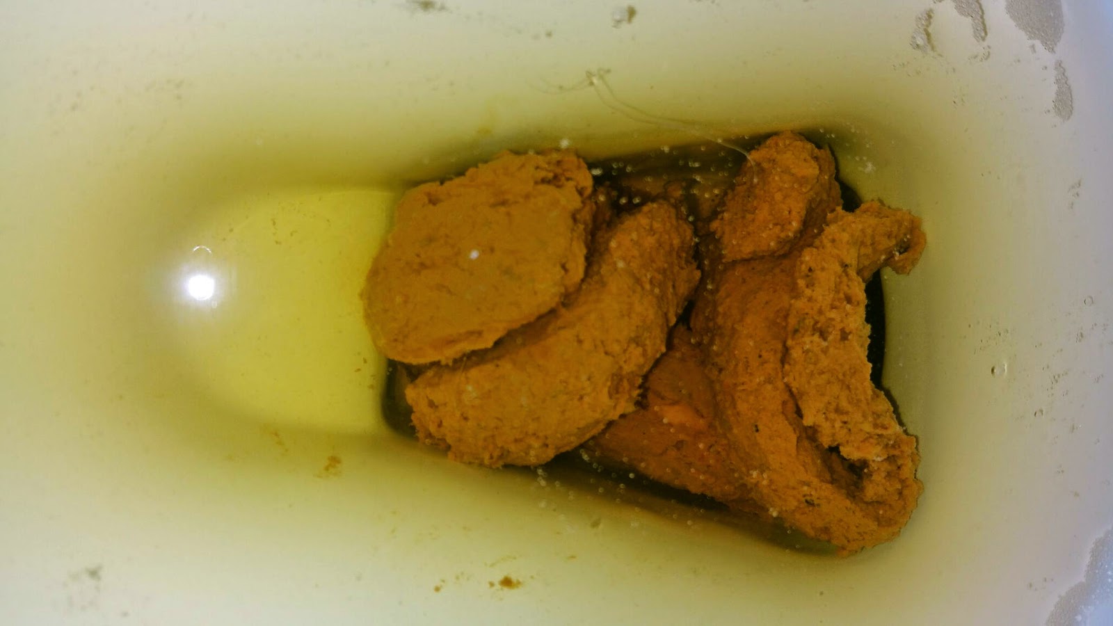 My Daily Poo: January 2015
