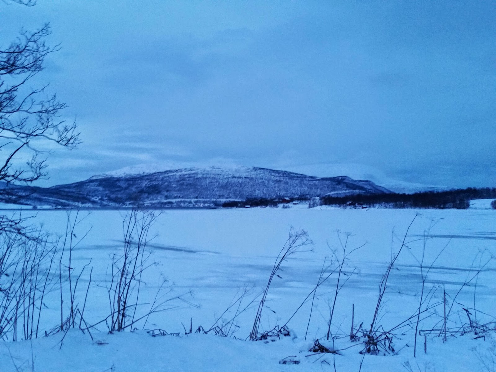 Eilas blogg: På tur til Fjelldal