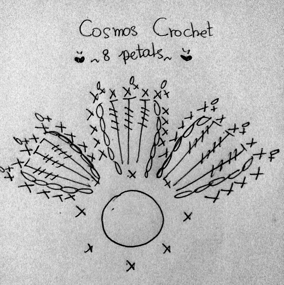 youngladieshome: Cosmos Flower Crochet Pattern and Meaning