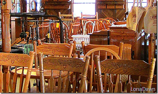 A Hocking Hill's Garden: Bainbridge, Ohio Amish Community Part 2