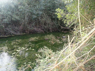 Zona Rural: Las ideas más frescas para el medio rural