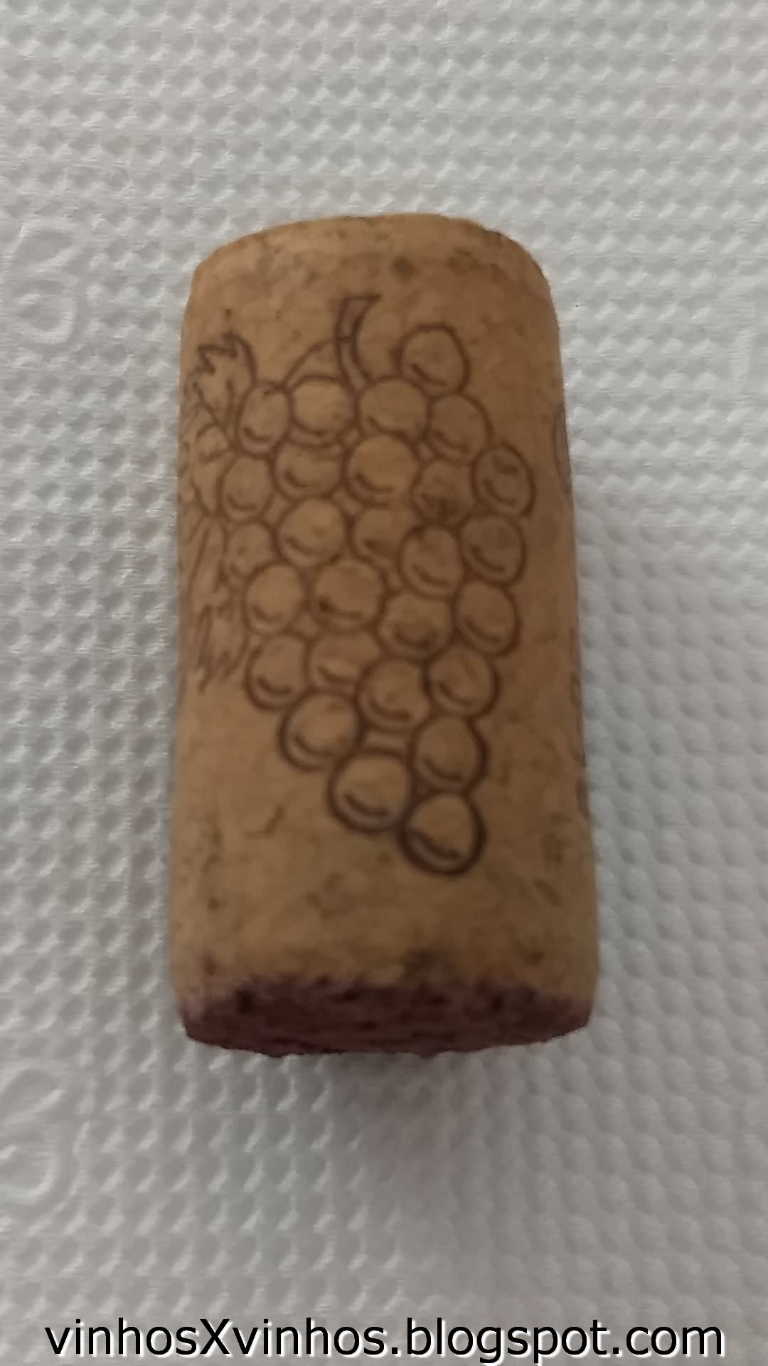 Vinhos x Vinhos: Vinho Bardolino Valdorella