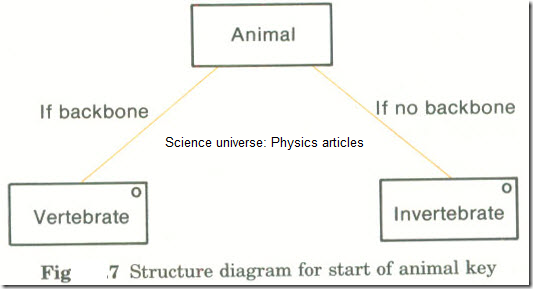 Representing Algorithms-Flowcharts and Structure Diagrams Representing Algorithms-Flowcharts and Structure Diagrams