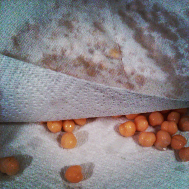 An Onion Exposed: 2014