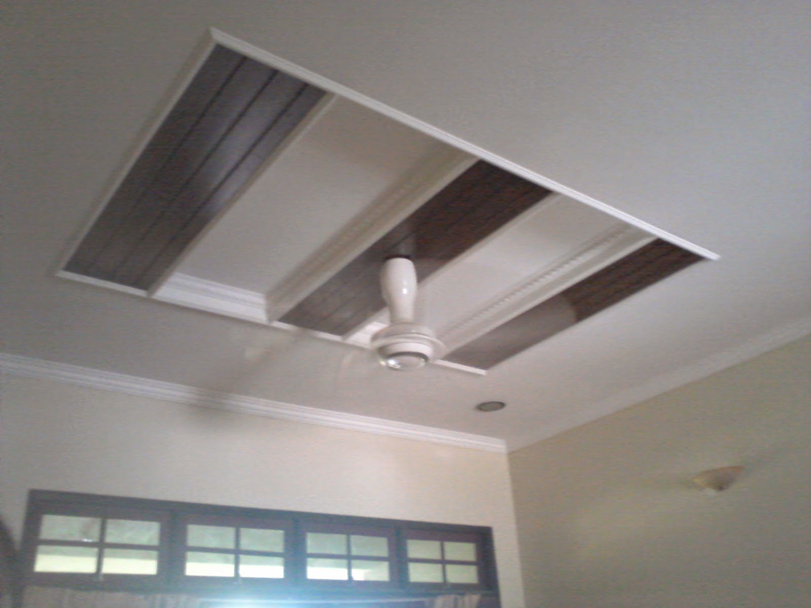 Siling fiber+siling kapor+ctwood