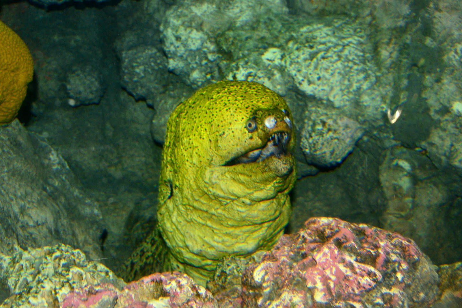 dalej się nie dało: czasorozrywacze