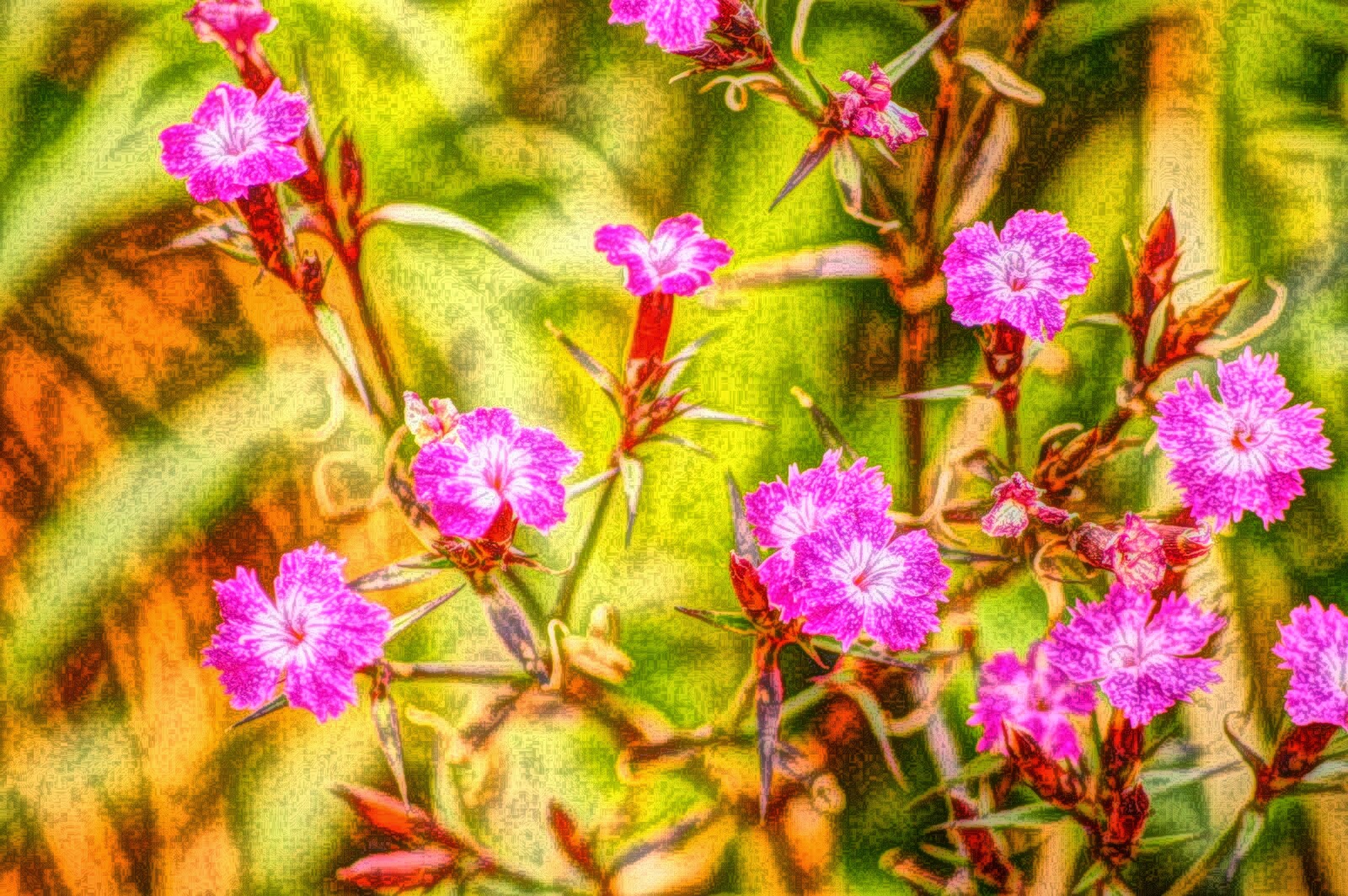 36 random free pictures available for download