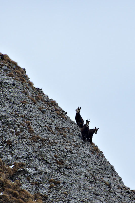 Din frumosul targ al Iesilor spre Ceahlau si spre Bicaz – Life ...