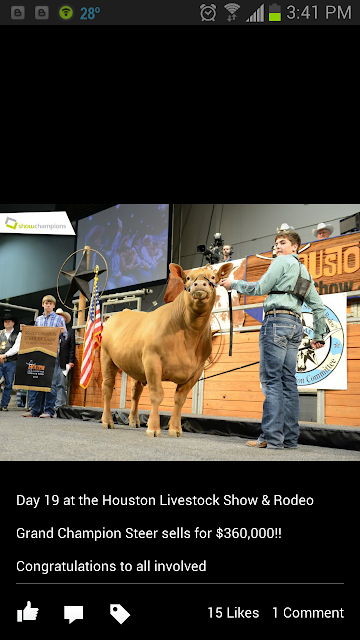 Lautner Farms: Grand Champion Steer at Houston Livestock Show Sells for ...