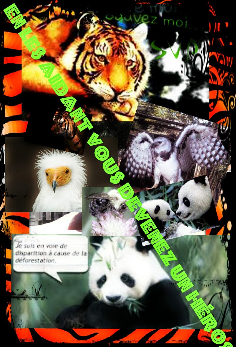 Alerte animaux en dangers: Des image pour exprimer se que peut apporter ...