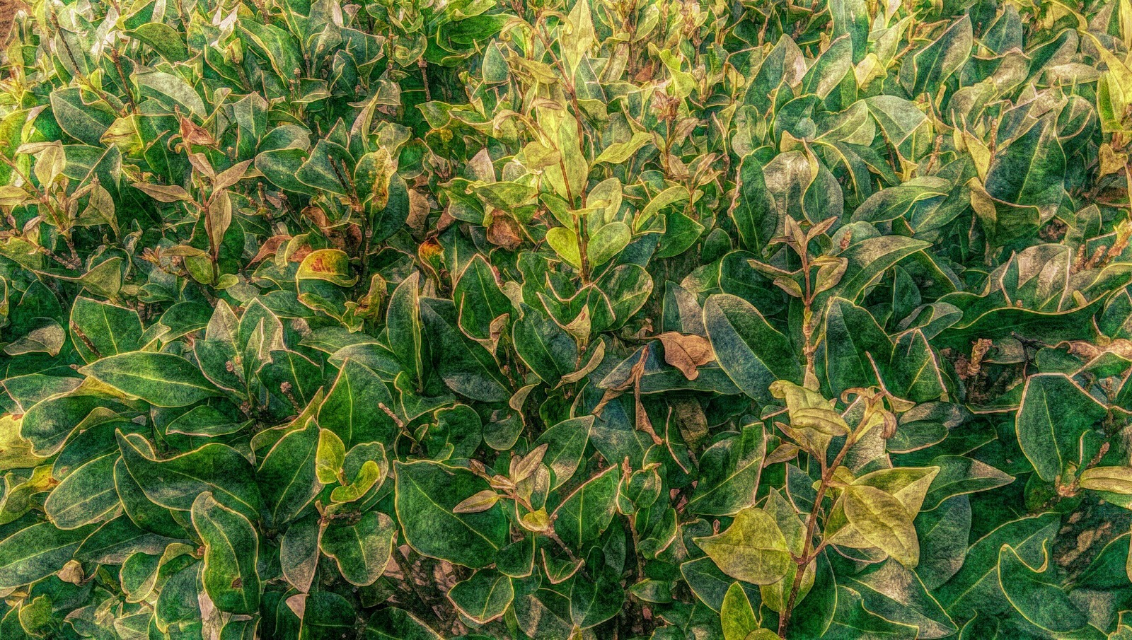 23 commercial use downloadable free random pictures for blogs and websites