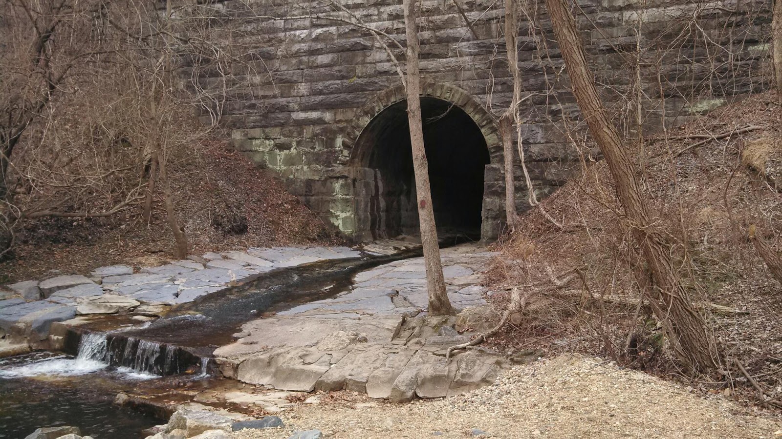 Spacemen and Portals: Some Portal captures at Patapsco Grist Mill Trail