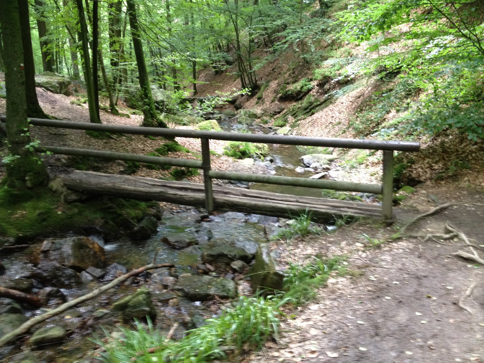Hiking adventure in wild Belgistan-Ardennen / Premium Wander-Tour ...