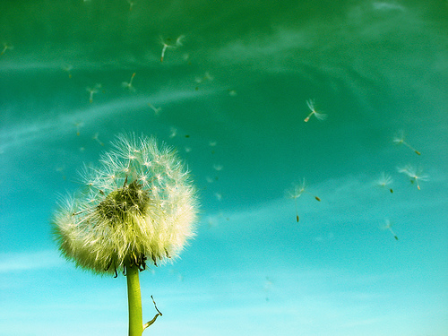 Ordning och anarki: Hur uppnår vi frihet egentligen?