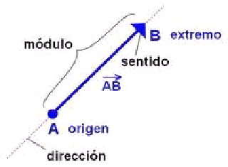 ¿El cero es un vector? | Blog de Ciencia