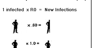 Avian Flu Diary: EID Journal: Complexity of the Basic Reproduction ...