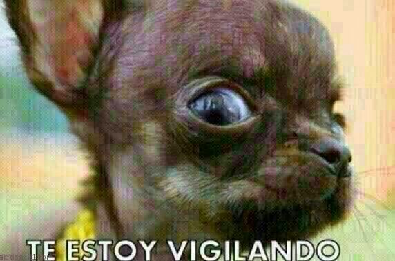 Memes Fans: Te estoy vigilando