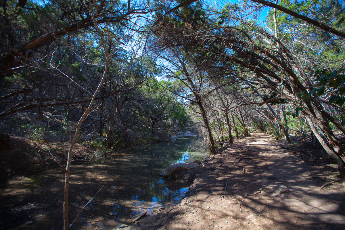 hectoradventures: Turkey Creek Trail (Austin, TX)