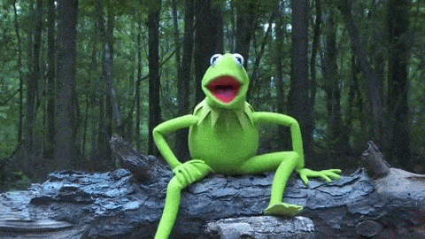 PICCOLI GRIFONI: Kermit accetta la Ice Bucket Challenge