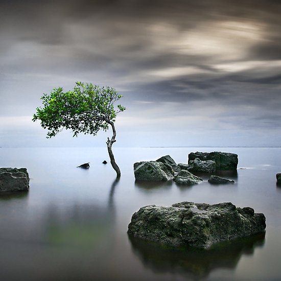 it's the little things that make life beautiful