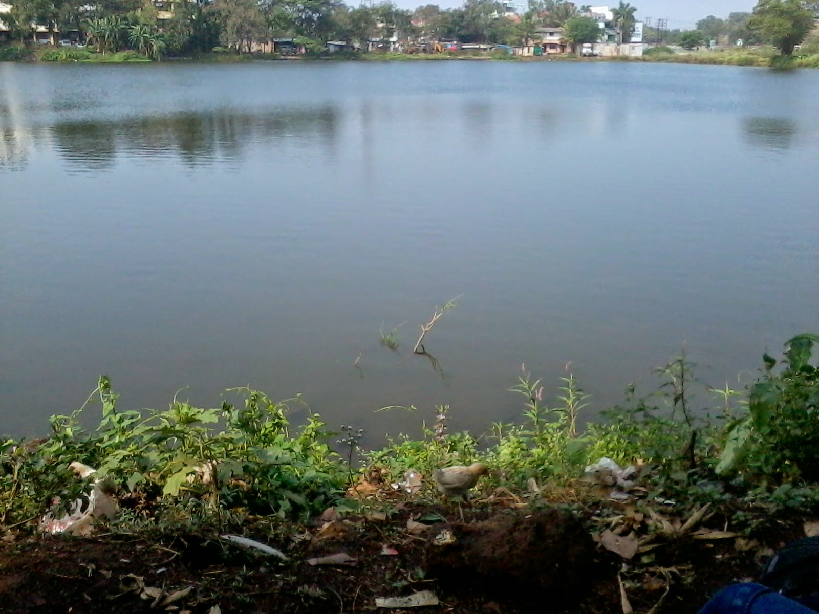 lonavala explorations: Valvan lake