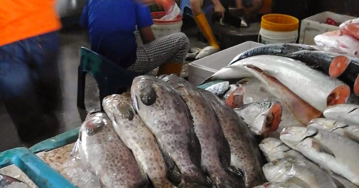 BAGAIMANA CARA TERBAIK UNTUK SIMPAN IKAN SUPAYA TAHAN LAMA DAN KEKAL ...
