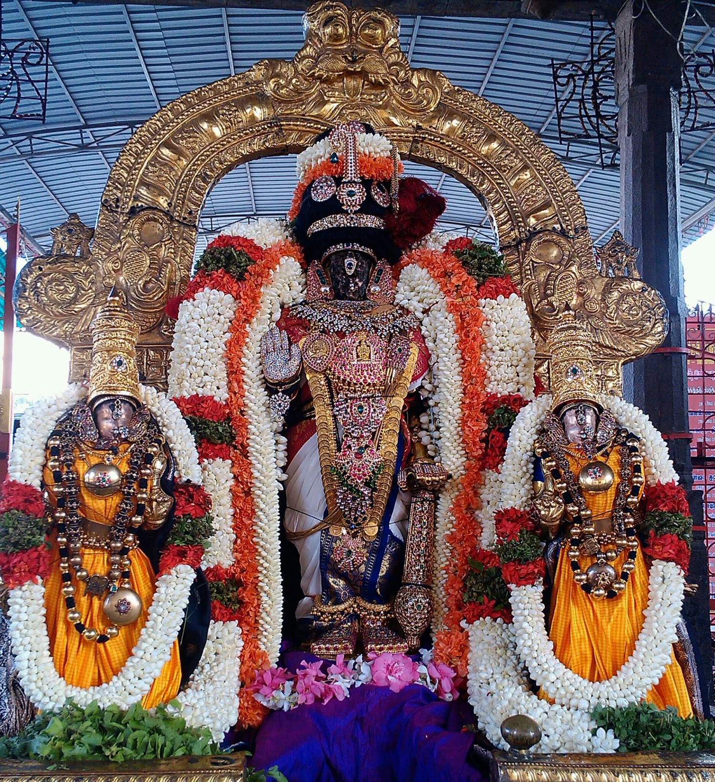 Parthasarathy: Panguni savanam sri parthasarathy utsavsar