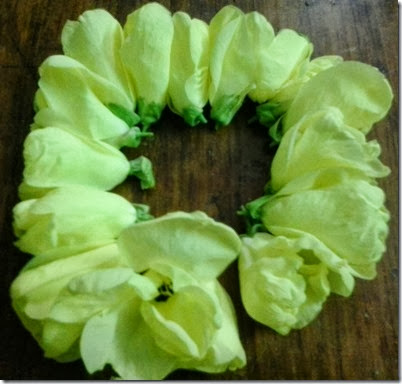 Rich haul of Mantharai flowers today