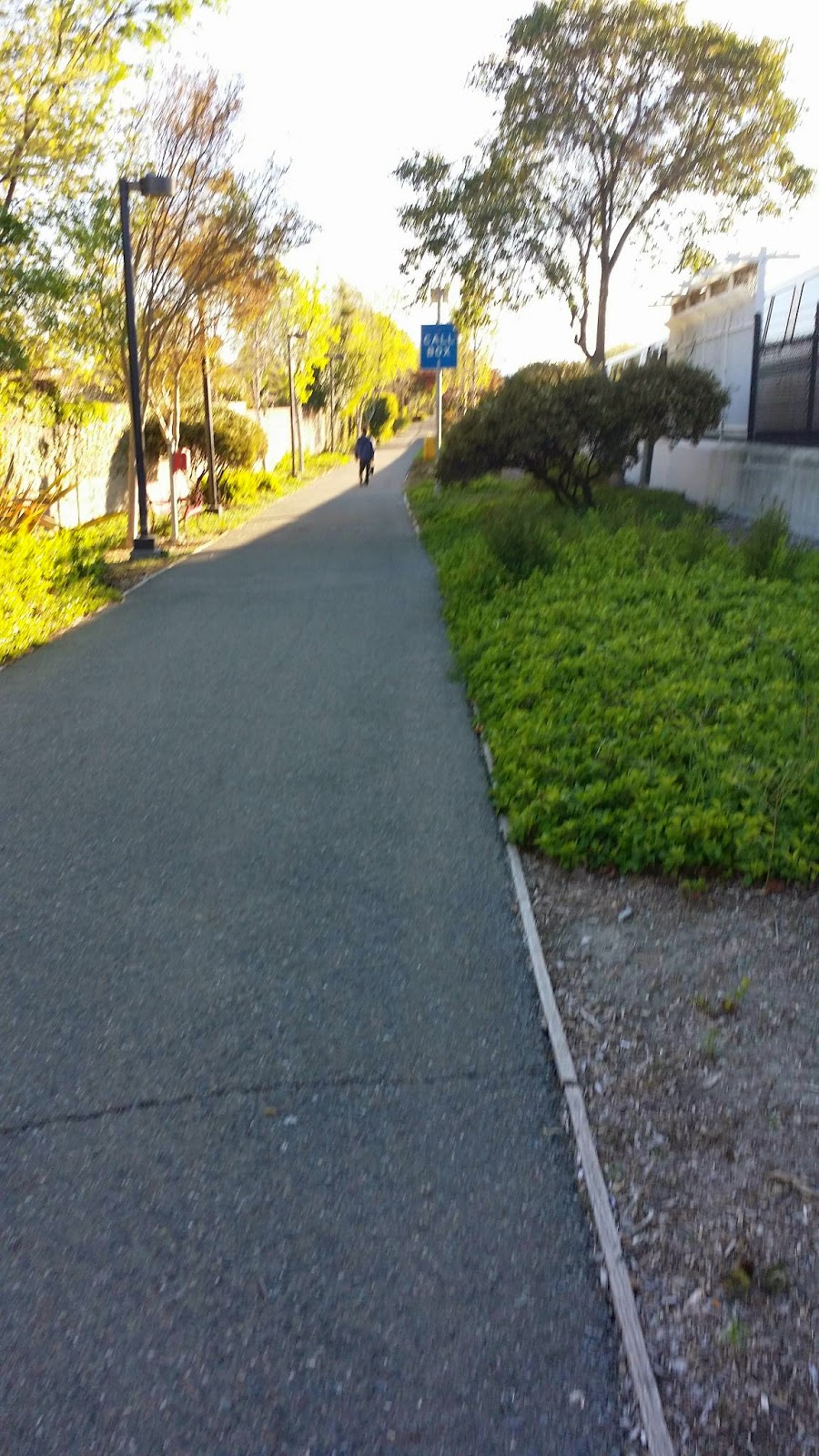 daily rants, raves, ramblings: Lesson learned, you can even pee on ...