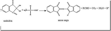 Uji Ninhidrin pada Protein - My Experience