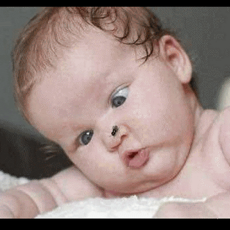gif divertido de bebé con mosca en la punta de la nariz - Blog de imágenes