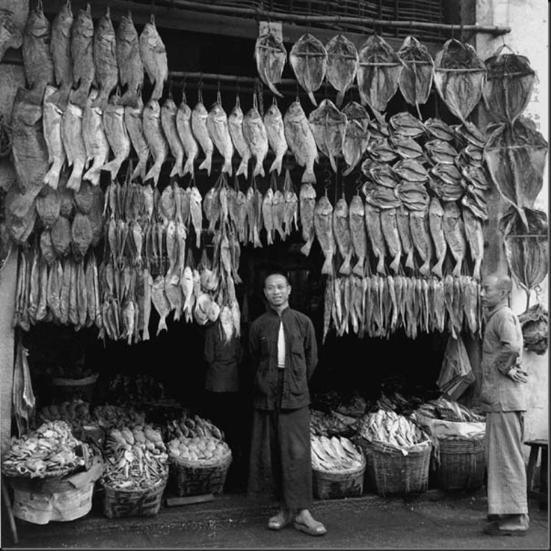 OLTRE IL MURO: ARTE e FOTOGRAFIA: HEDDA MORRISON | PHOTOGRAPHER