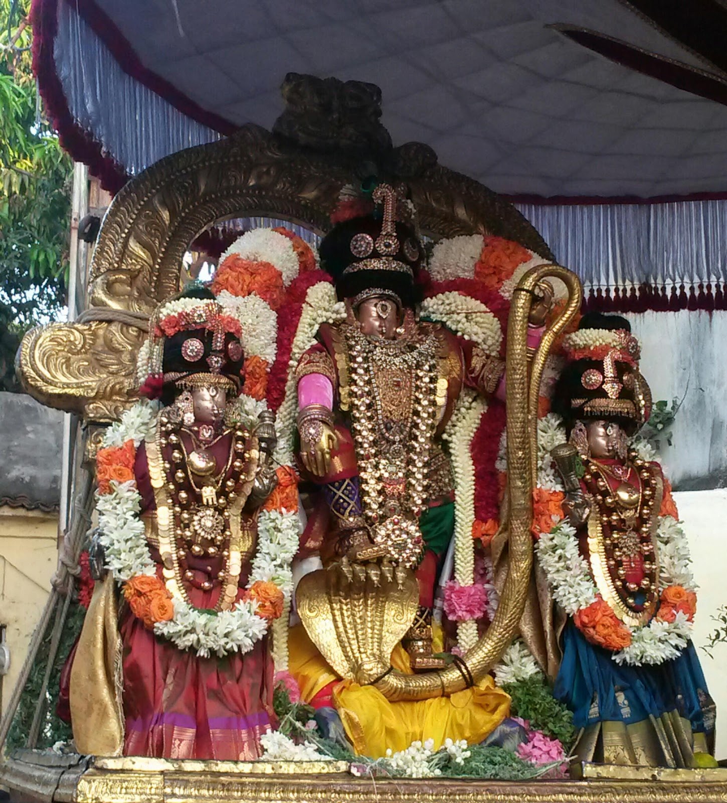 Parthasarathy: Sri narasimar dhavanam utsavam day 1 purappadu