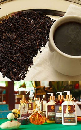 Provanza Aromas e Perfumes | Blumenau: O poder do chá preto