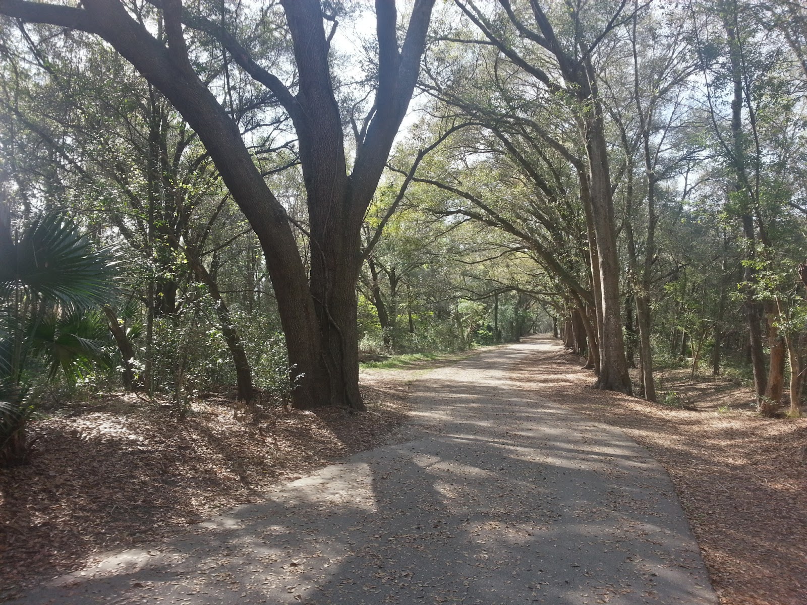 hectoradventures: West Orange Trail: Mile 5-15
