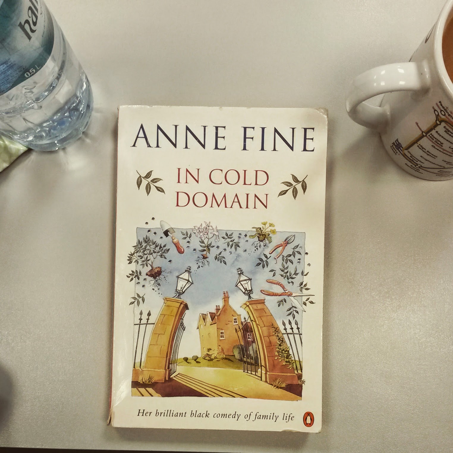 Anne Fine / In Cold Domain #BookThoughts