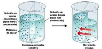 PROPIEDADES DE LAS DISOLUCIONES VERDADERAS
