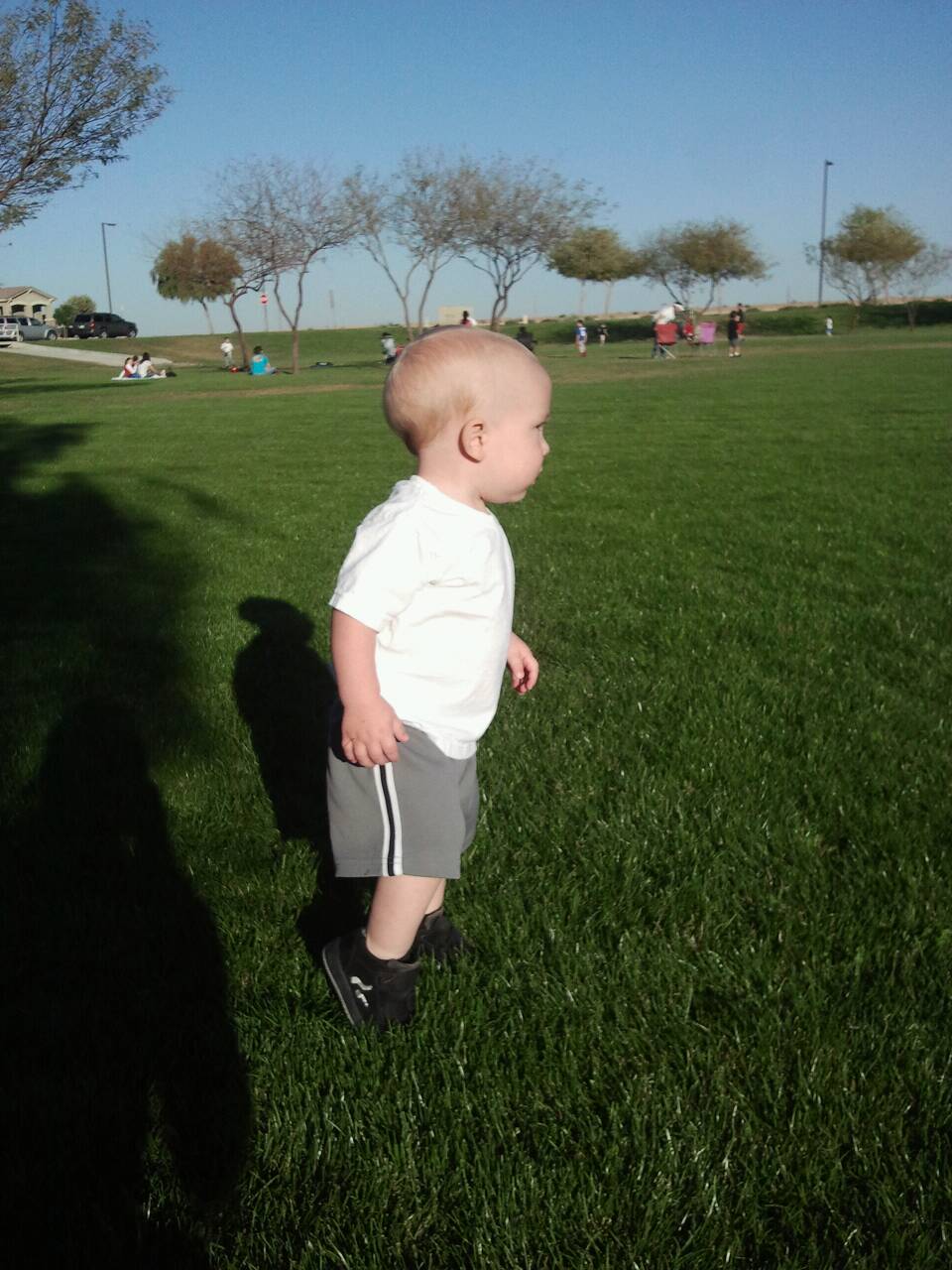 The Miller Scoop: Chasing Chase